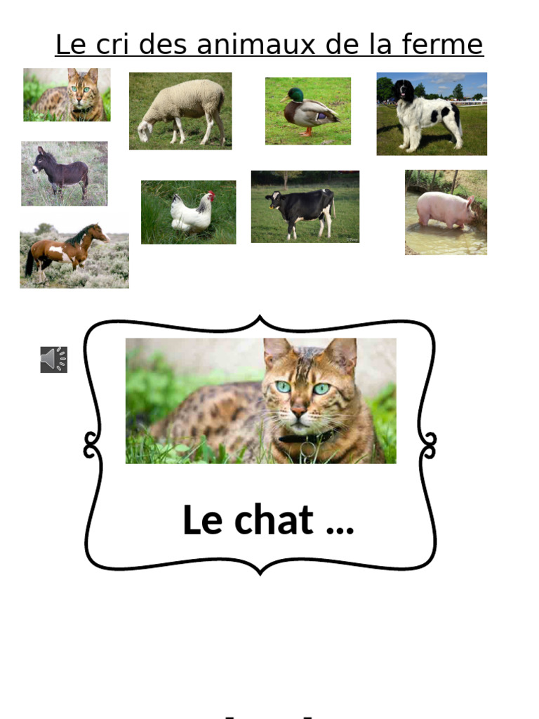 Le Cri Des Animaux de La Ferme Anne B Chez IpotÃ Me 2 | PDF