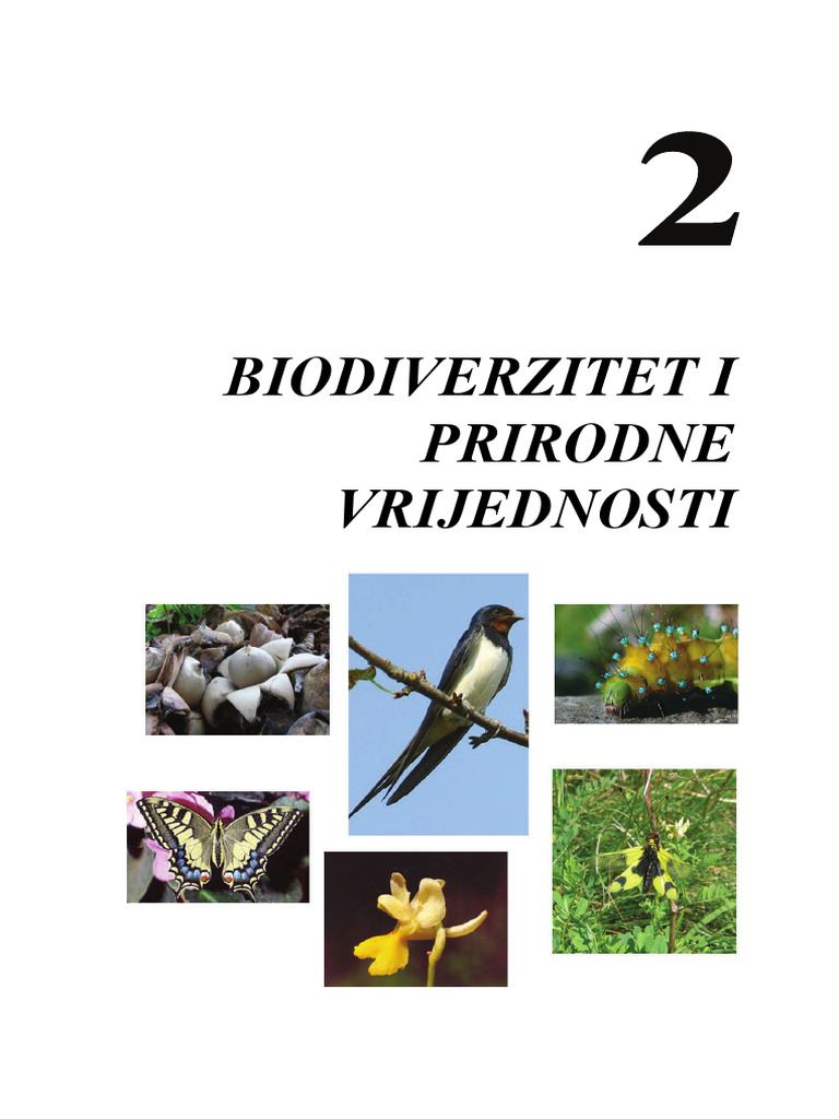 Biodiverzitet I Prirodne Vrijednosti Opštine Nikšić | PDF