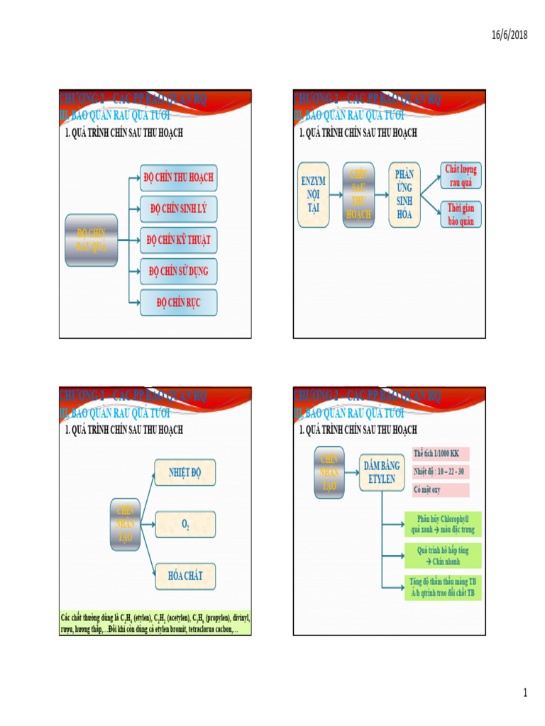 RQ-2-2-BQRQTuoi | PDF