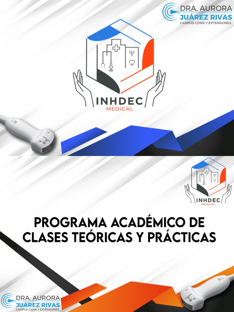 Programa Academico 2024 | PDF