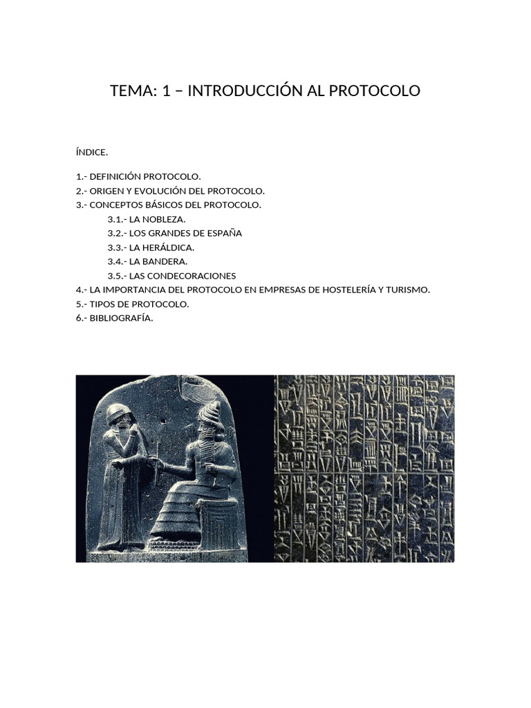 TEMA 1- INTRODUCCIÓN AL PROTOCOLO | PDF