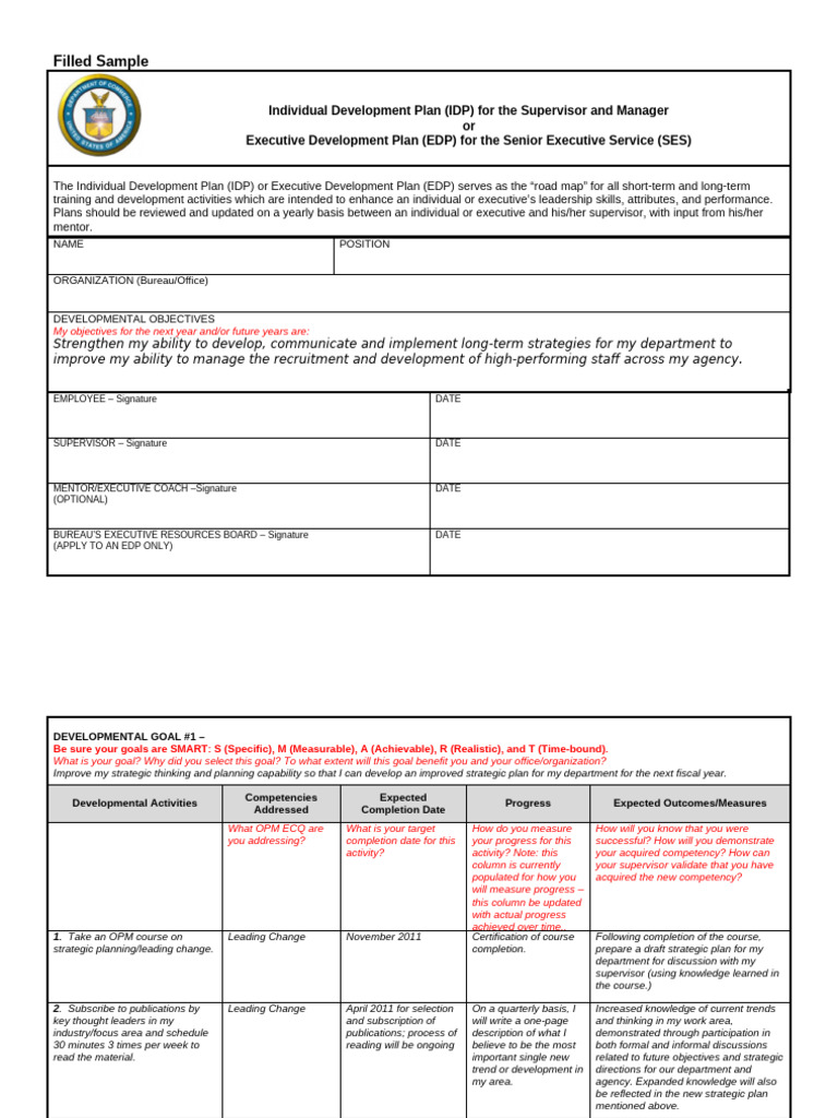 IDP or EDP Filled Sample-2 | PDF | Strategic Planning | Mentorship