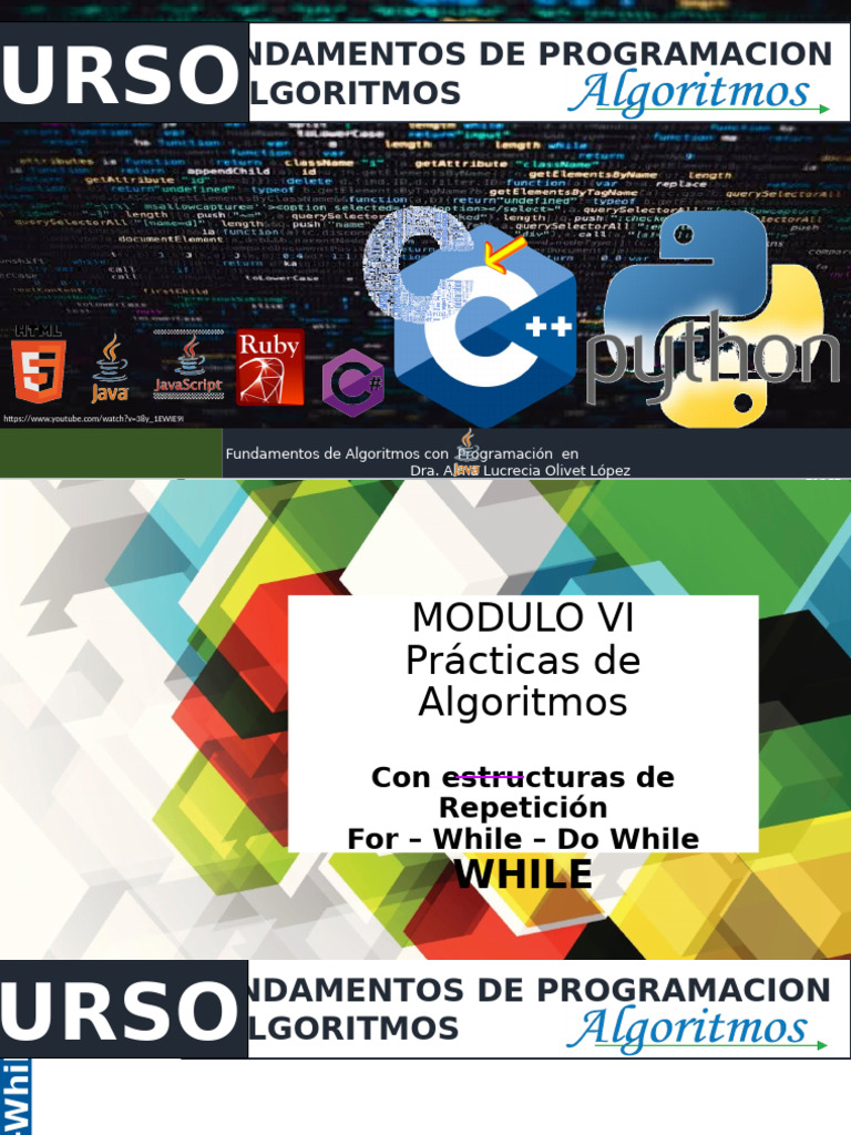 PRG CPP Estructurado While | PDF