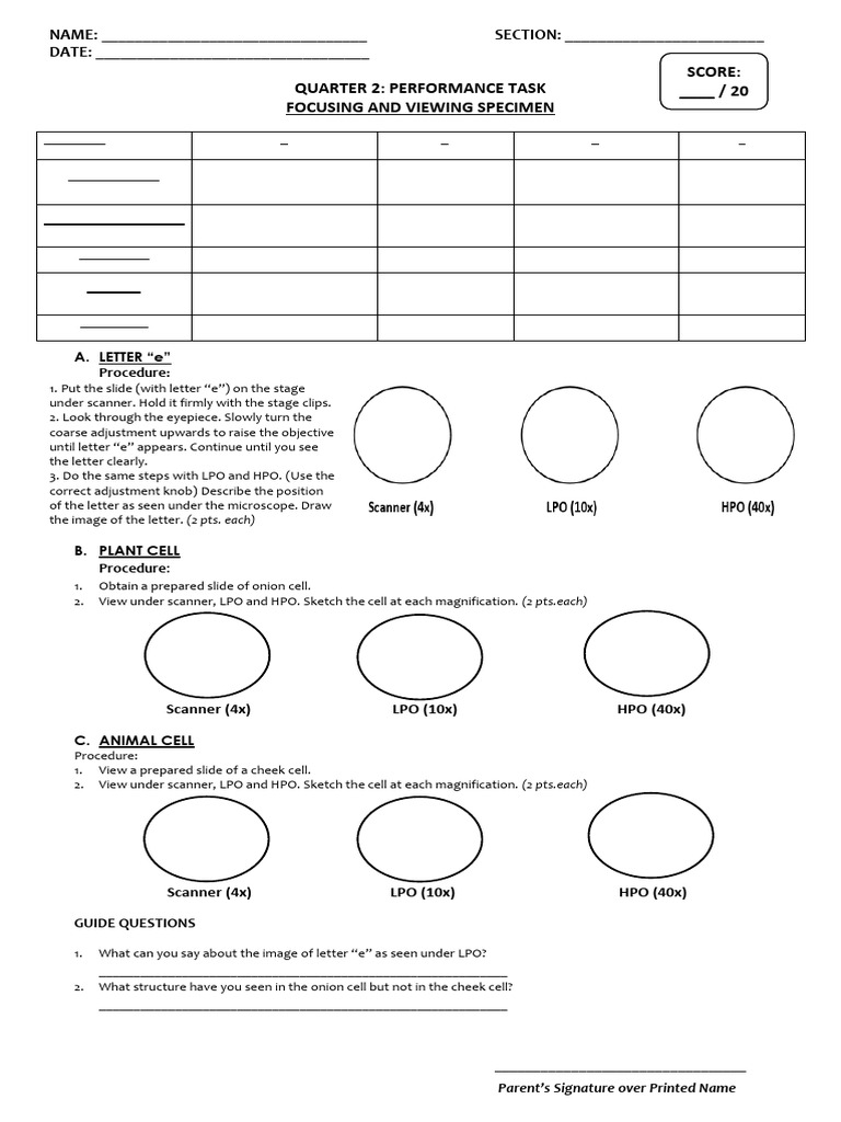 Microscope Skills Assessment | PDF | Image Scanner | Optics