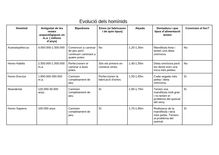 Graella Evolució Homínids - Solucionari | PDF