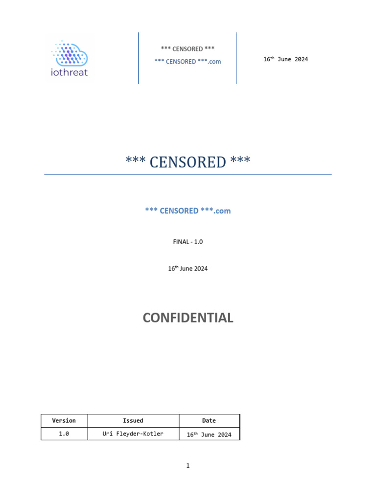 SAMPLE Network PT Report - CENSORED | PDF