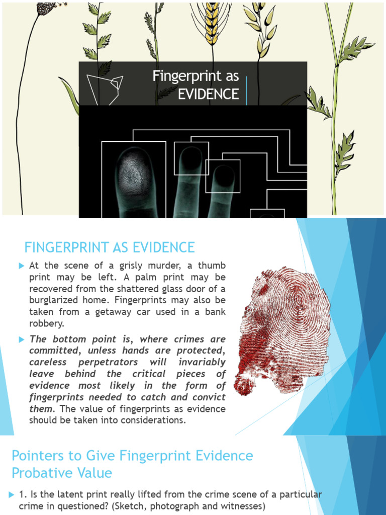 TOPIC-3-FINGERPRINT-PATTERNS-GROUPS-OVERVIEW-AND-RIDGE-FORMATION | PDF