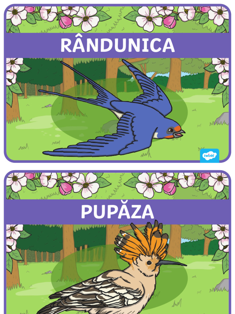 Pasari Calatoare | PDF