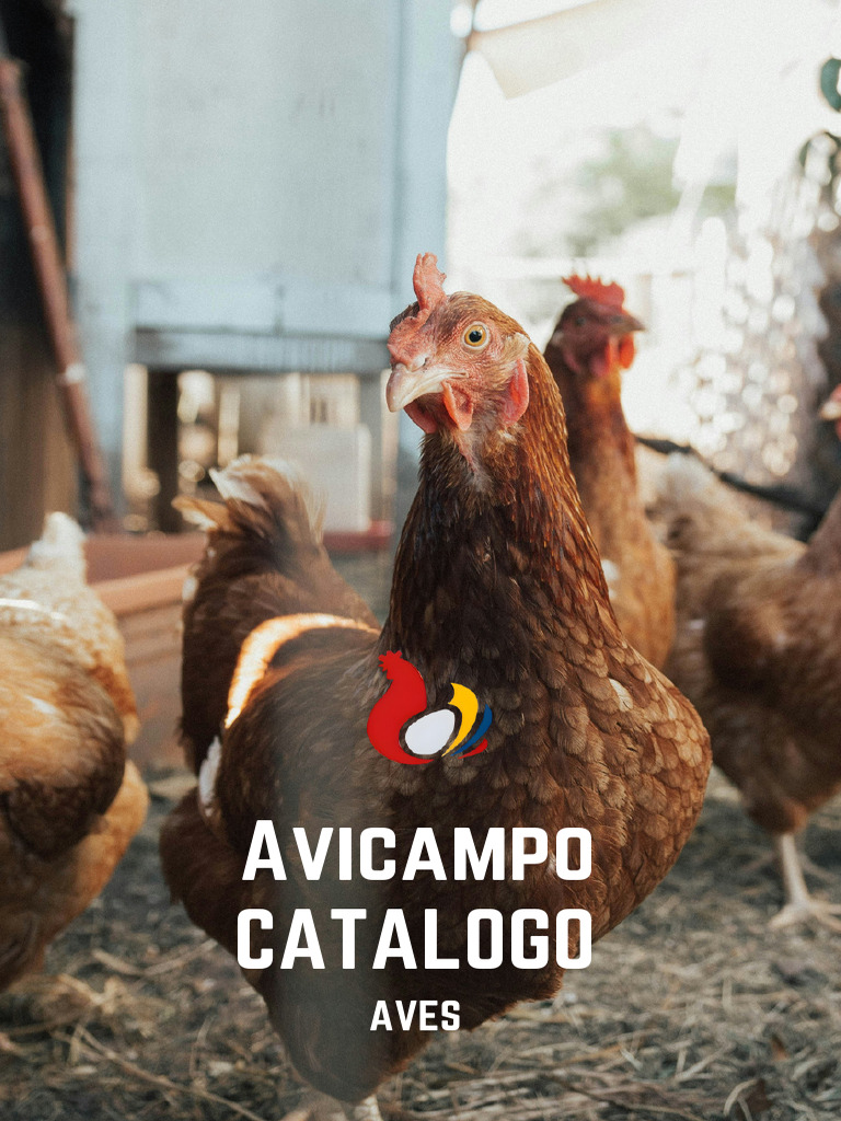 Avicampo catalogo AVES (1) (1) | PDF