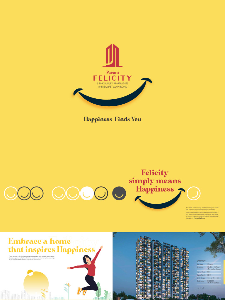 Felicity Brochure Website | PDF