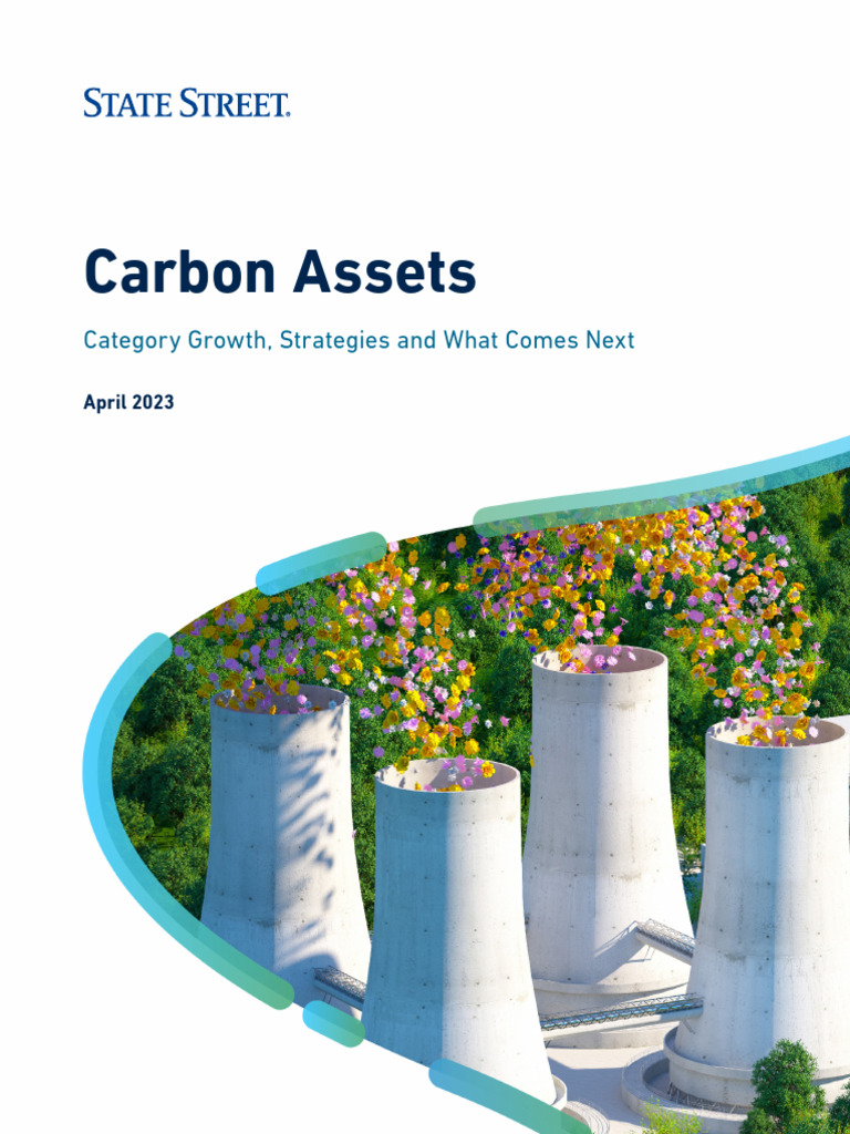 Carbon Assets Compendium Paper | PDF