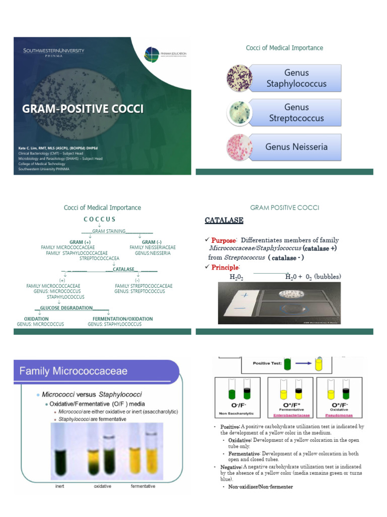 WEEK 6 Gram Positive Cocci - Staphylococci | PDF