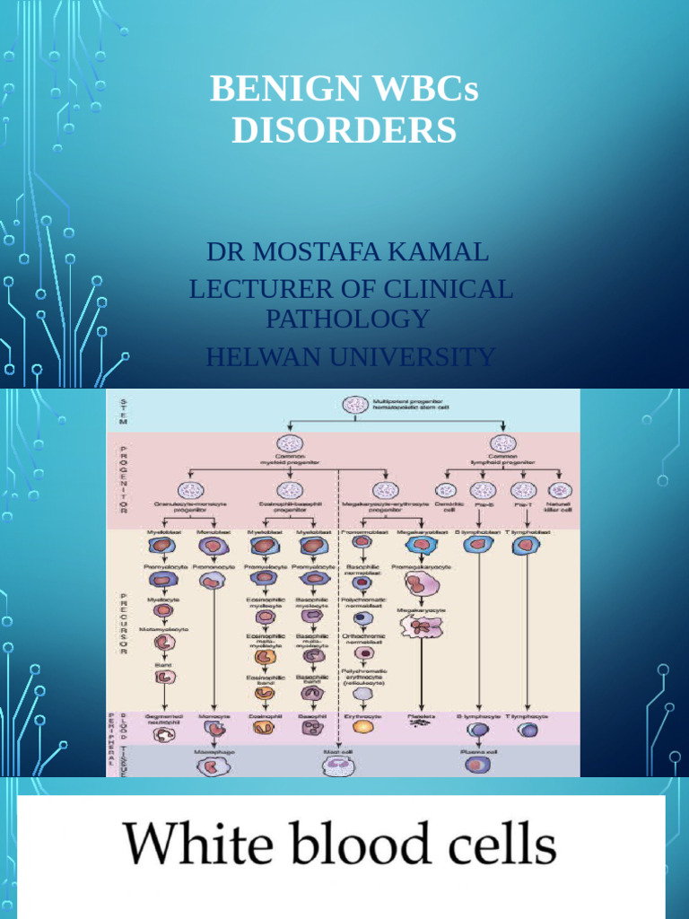 Benign Wbcs Disorders | PDF