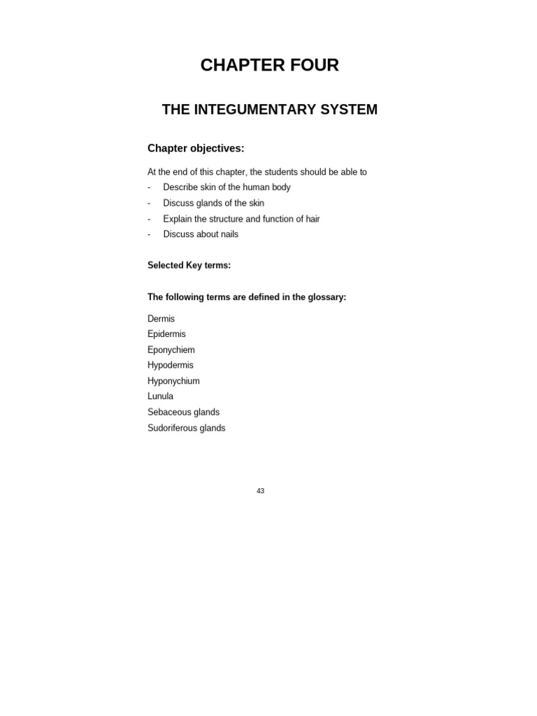 Integumentary System | PDF