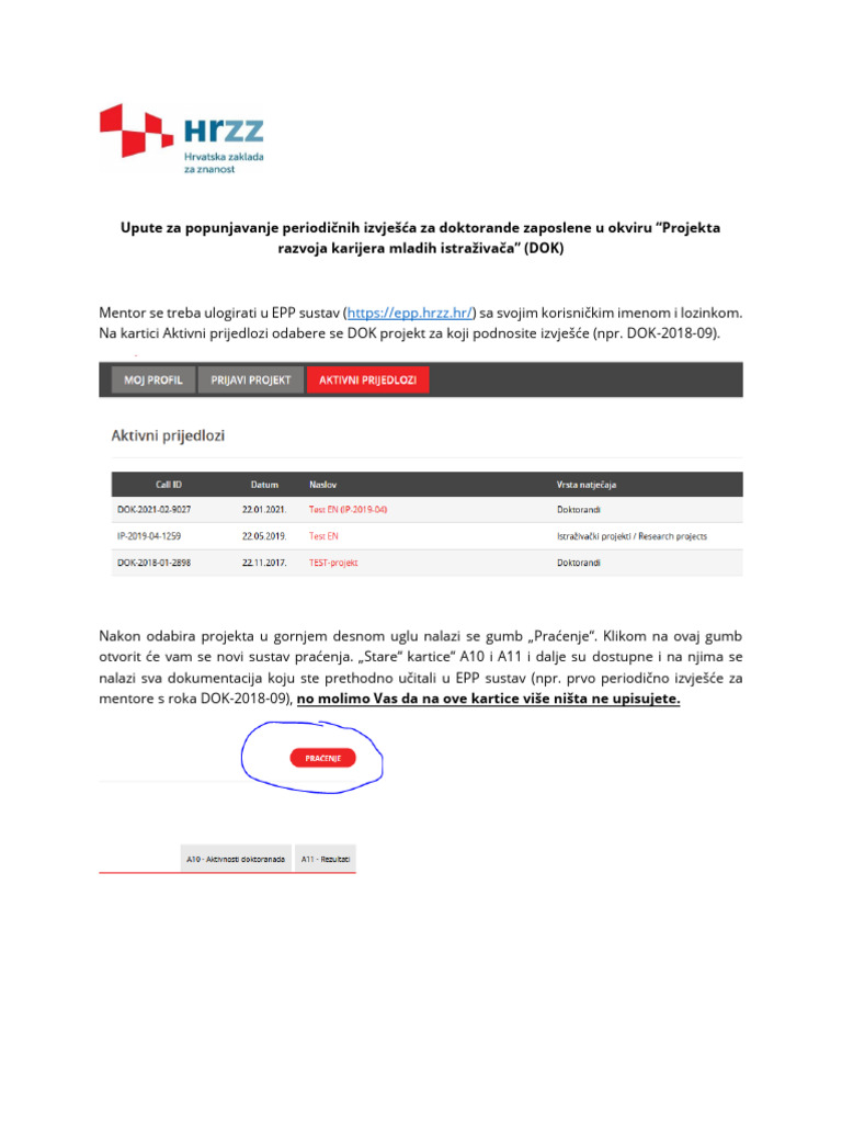 Upute Za Popunjavanje Izvjesca 2022 | PDF