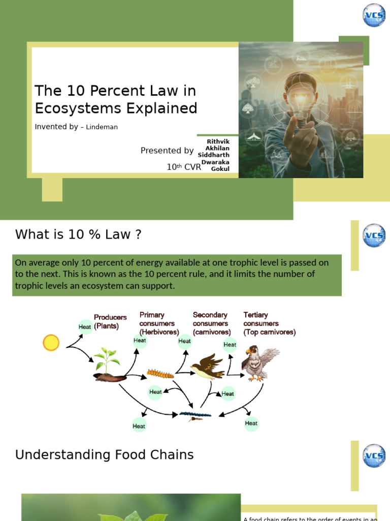 Understanding the 10 Percent Law in Ecosystems | PDF | Food Web | Ecosystem