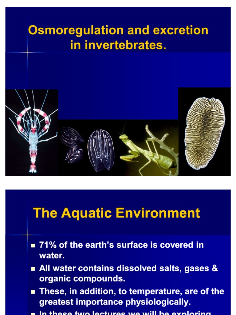 7.osmoregulation and Excretion in Invertebrates - Final | PDF ...