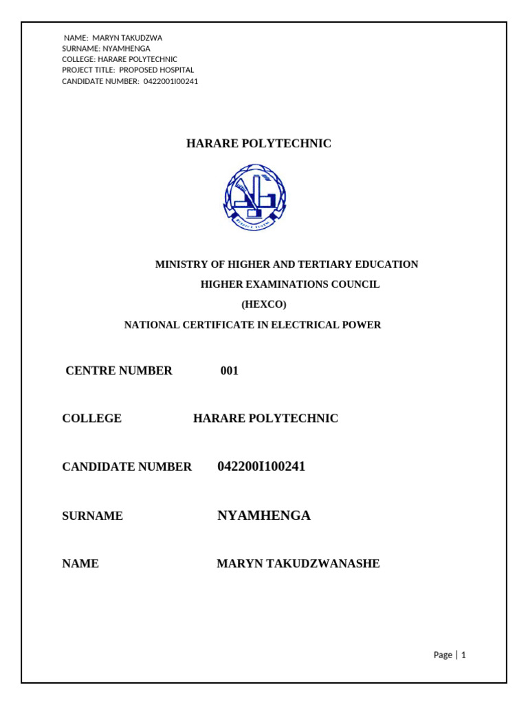 Maryn Takudzwanashe Project | PDF