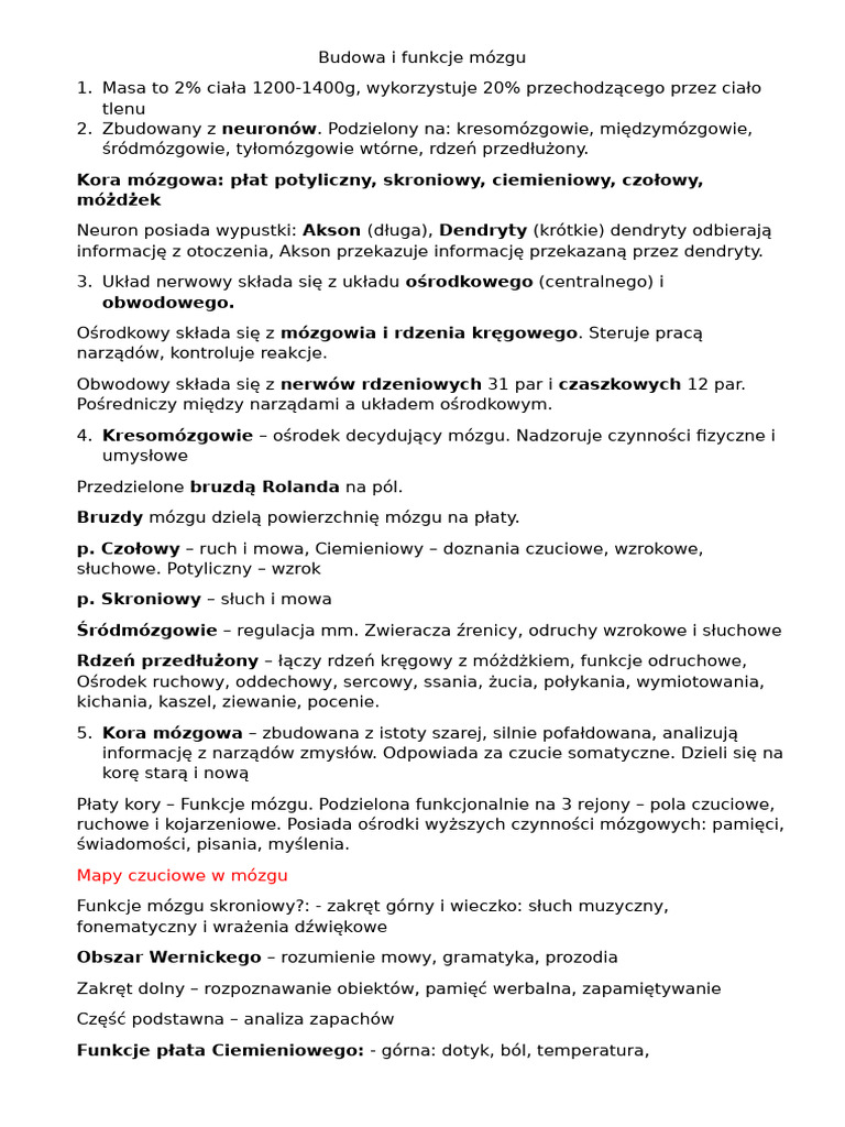 Budowa I Funkcje Mózgu | PDF