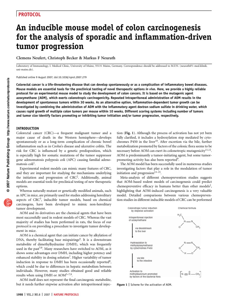 An Inducible Mouse Model of Colon Carcinogenesis | PDF