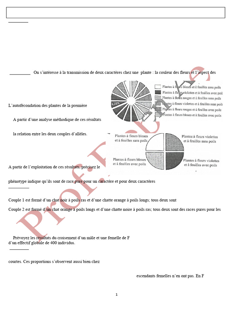 Série Génétique Formelle 2023 | PDF