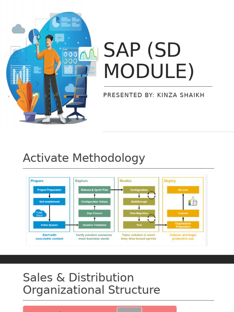Sap (SD Module) | PDF