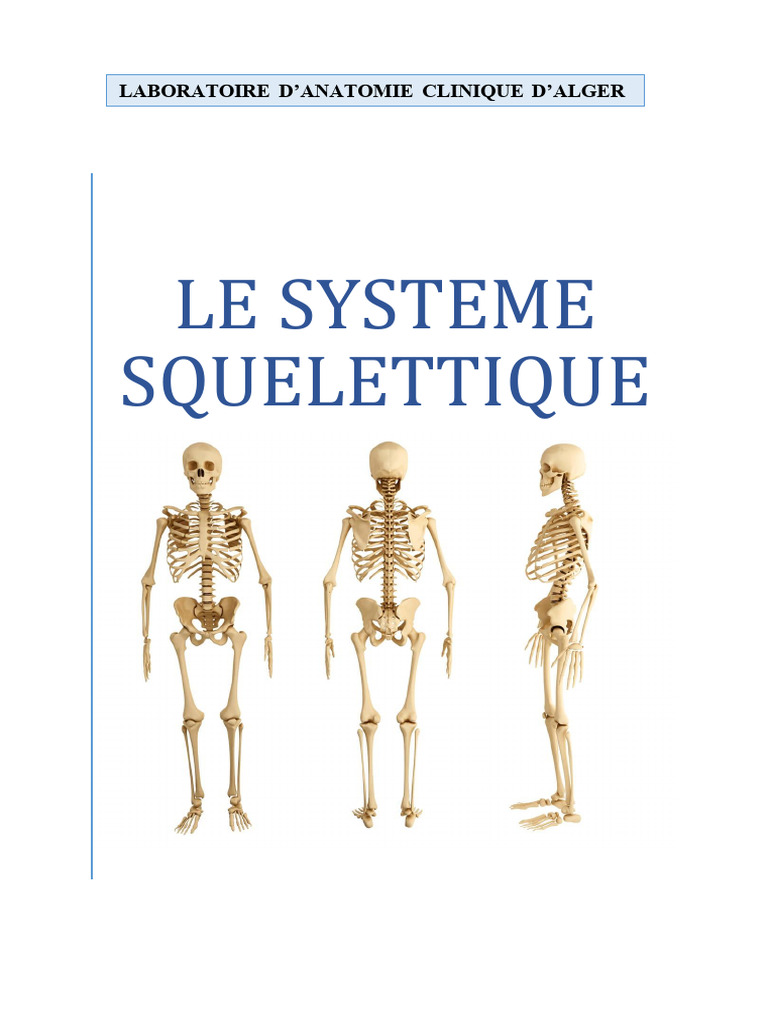 1-Le Systeme Squelettique.1docx | PDF