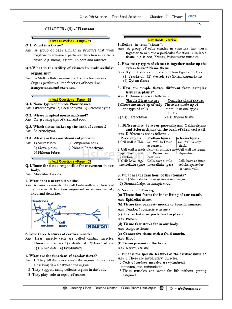 6 CH 6 9th ENG | PDF