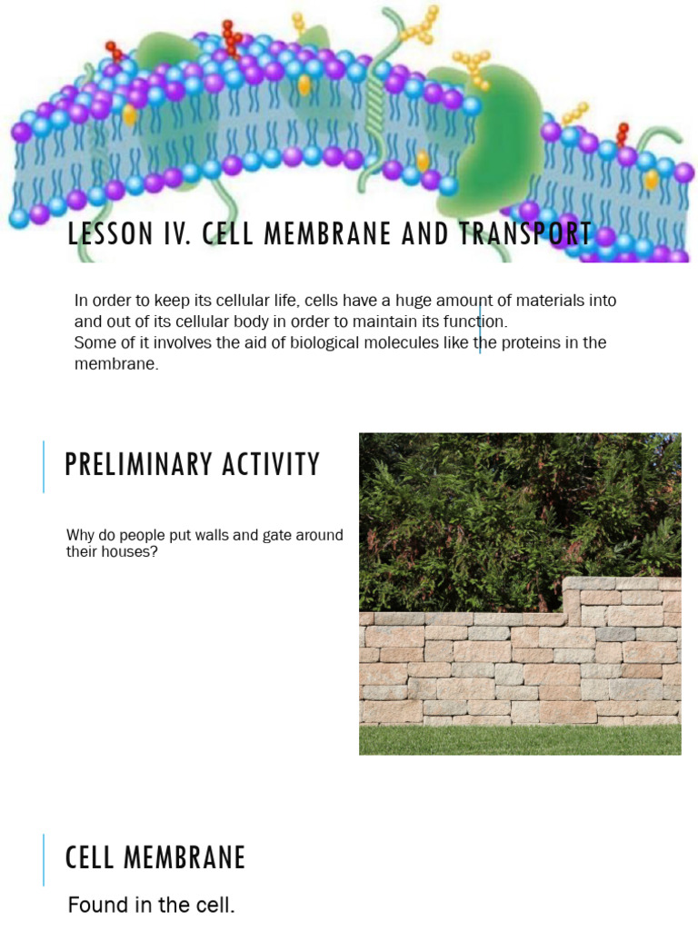 LESSON-IV.pptx-Cell-Membrane | PDF