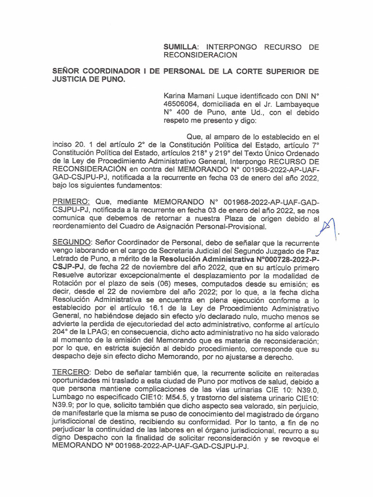 Recurso de Reconsideracion | PDF