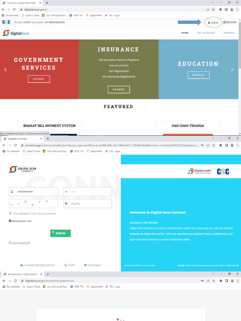 Protean (NSDL) Pan | PDF