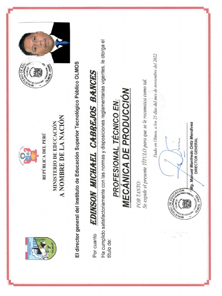 MODELO DE TITULO | PDF