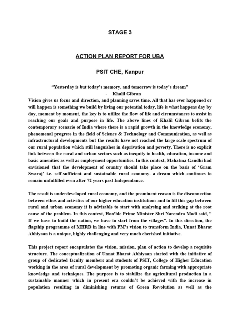 UBA Action Plan Report | PDF