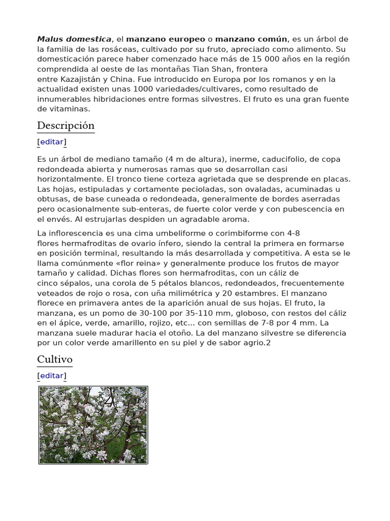 Manzano | PDF