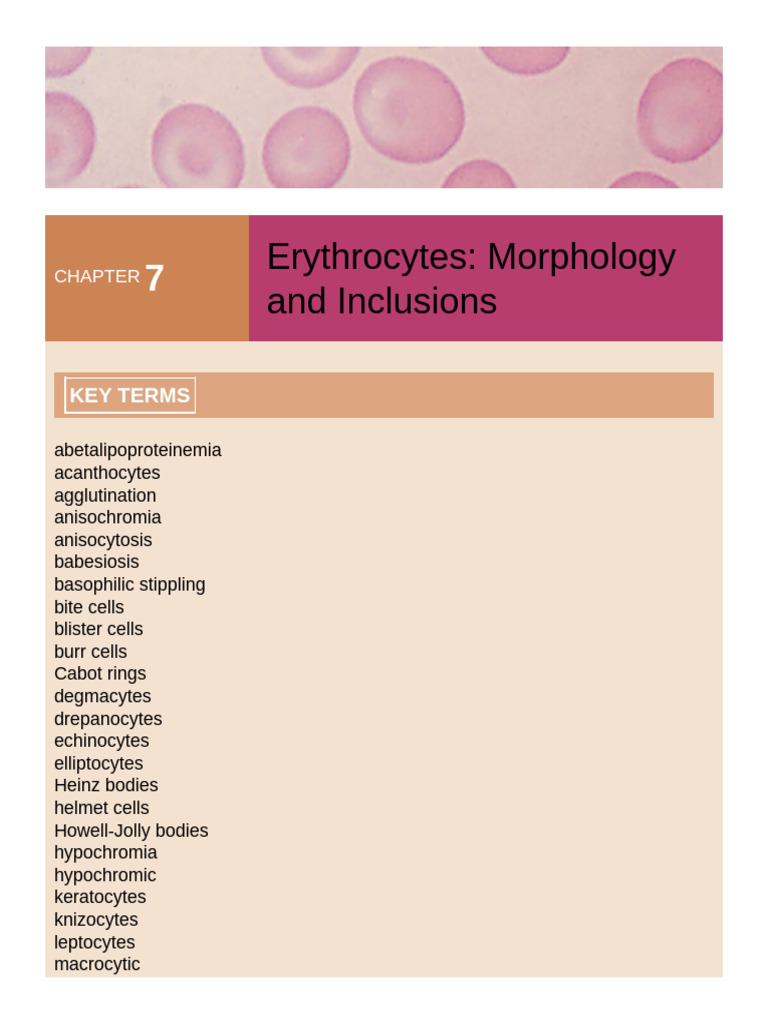 ERYTHROCYTES MORPHOLOGY AND INCLU | PDF