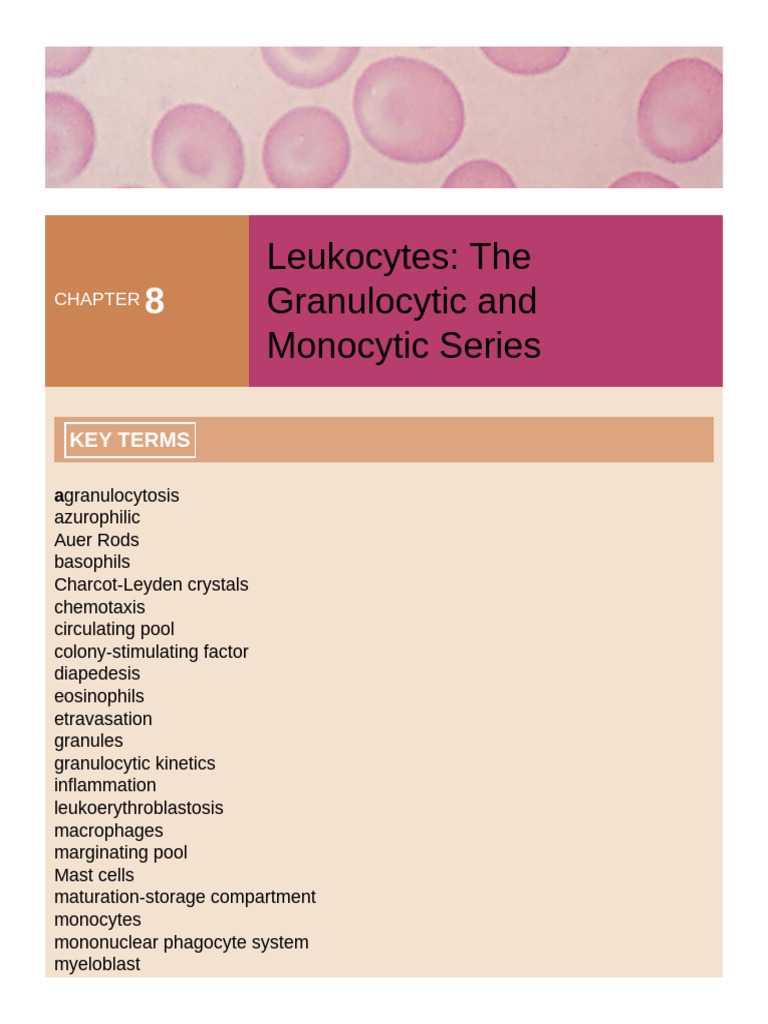 LEUKO | PDF