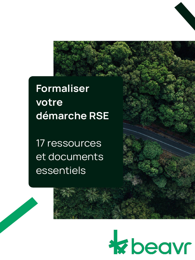 Guide - Formaliser Votre Démarche RSE - 17 Ressources Et Documents Essentiels | PDF