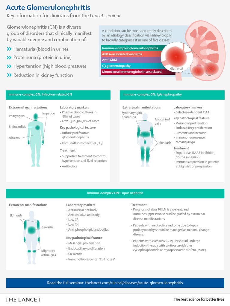 Acute Glomerulonephritis | PDF