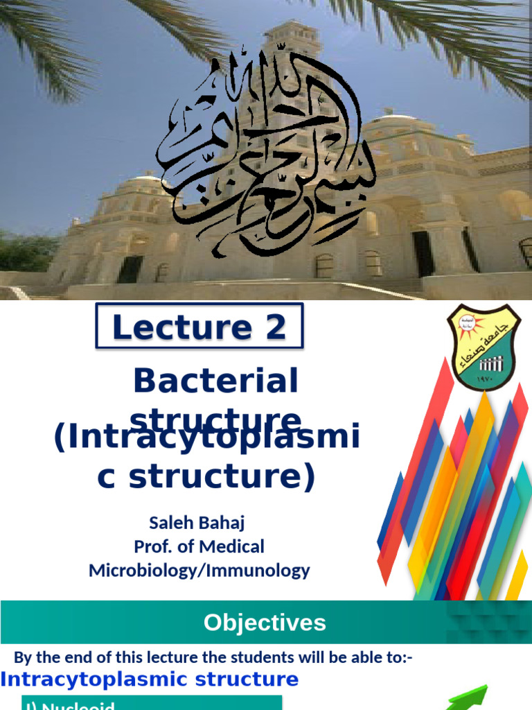 Lecture 2 Bacterial Strecture - Intracytoplasmic Structure | PDF