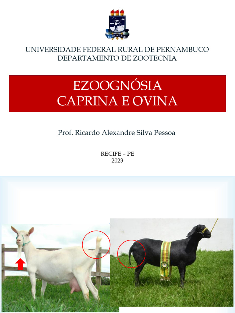 Ezoognósia Caprina e Ovina - 2023 | PDF