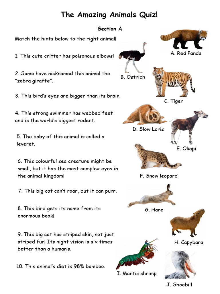 Animal-Facts-Quiz-1 | PDF