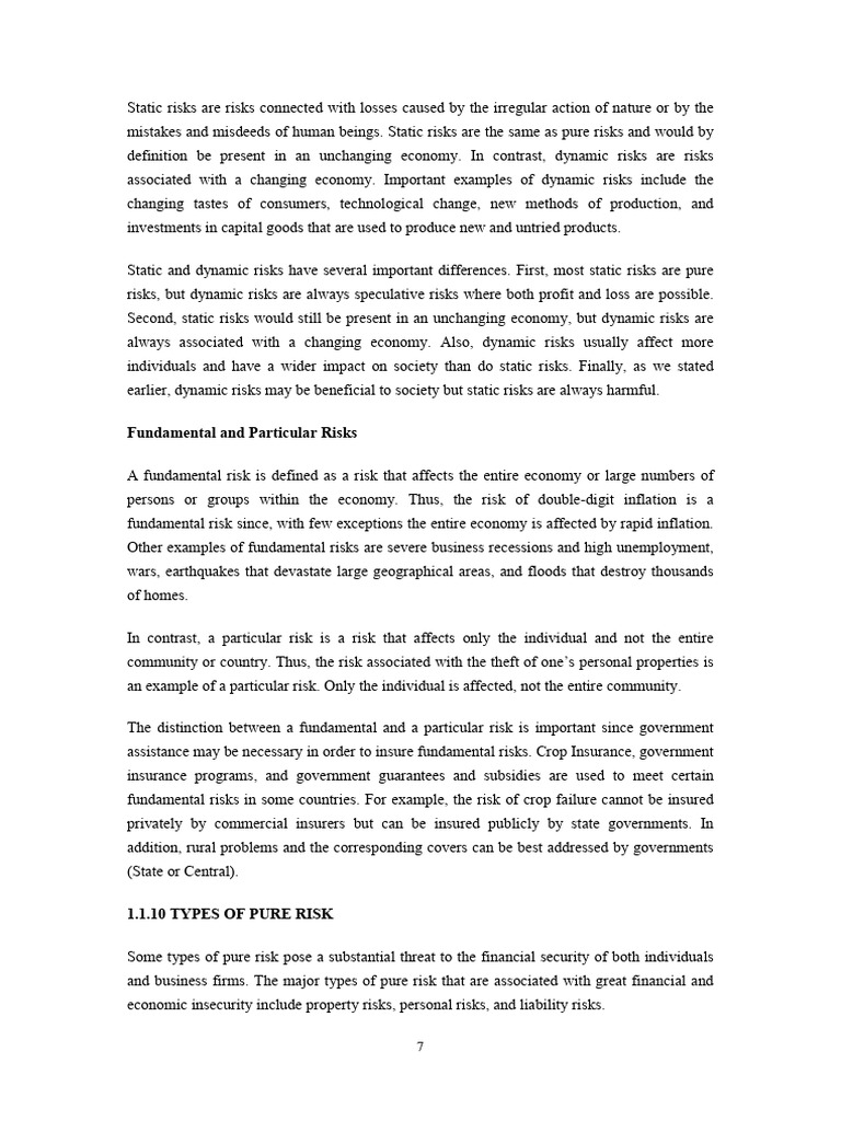 Fundamental and Particular Risks | PDF