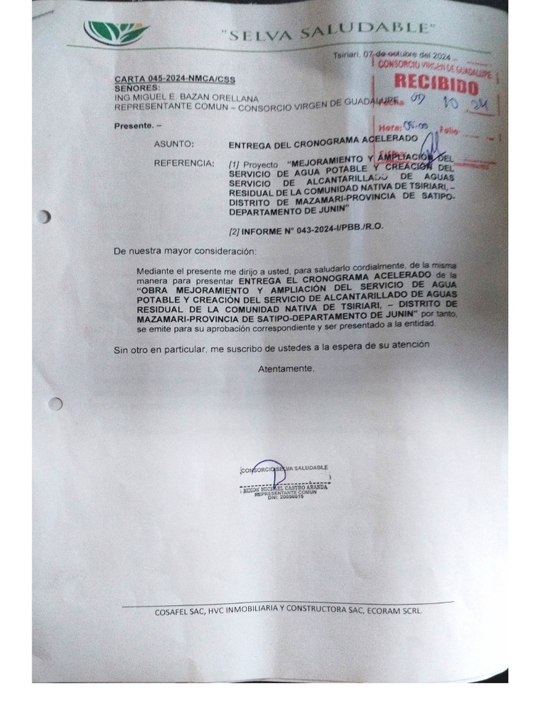 ACE Scanner_2024_10_10(1) | PDF