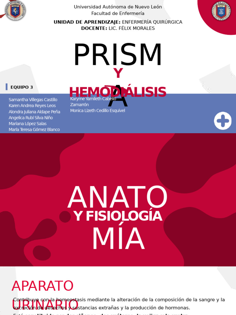 Prismaflex y Hemodialisis_eq3 | PDF
