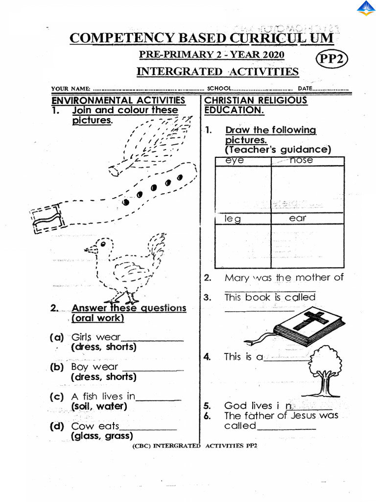 Intergrated Activities PP2 | PDF