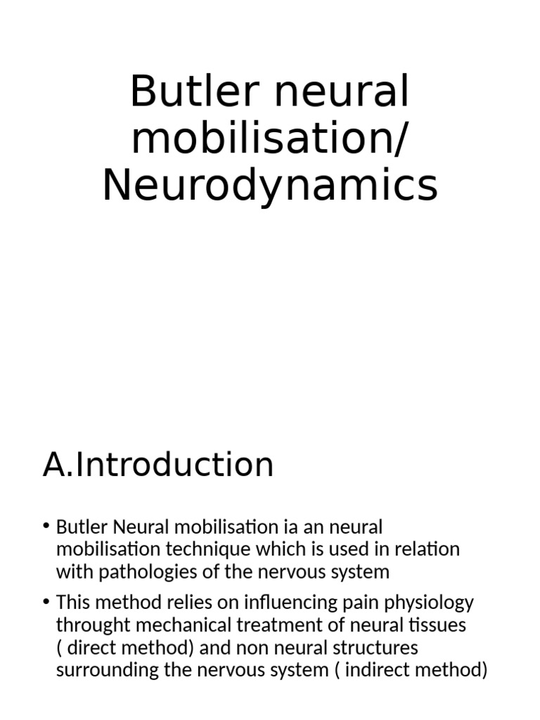 Butler Neural M-WPS Office-1 | PDF