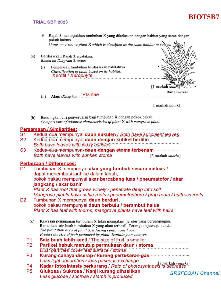 TRIAL BIO 2023 T5 B7 Jawapan | PDF