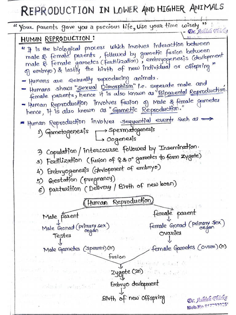 Human Reproduction | PDF