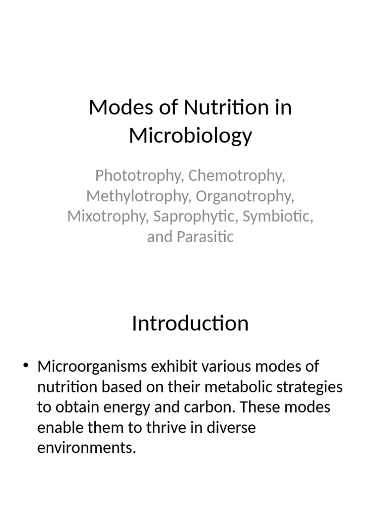Modes of Nutrition in Microbiology Seminar | PDF