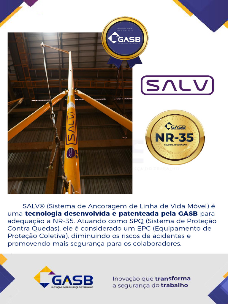 Portfólio Salv - Gasb | PDF
